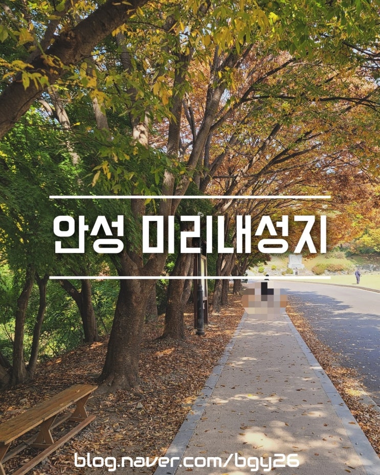 안성 단풍 명소 미리내성지 성지순례길 네이버 블로그
