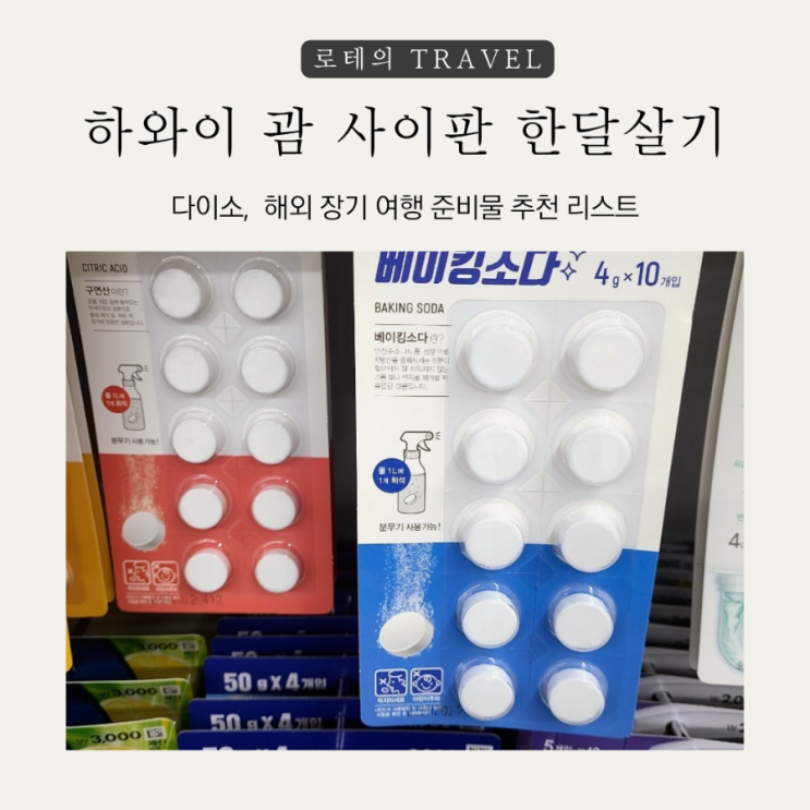 하와이 괌 사이판 한달살기 준비를 위한 다이소 추천템 리스트 한달살기 준비물 다이소 1탄 네이버 블로그