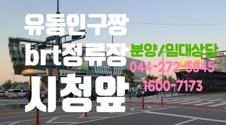세종시 상가분양 3생활권 보람동 세종 시드니 상가 네이버 블로그