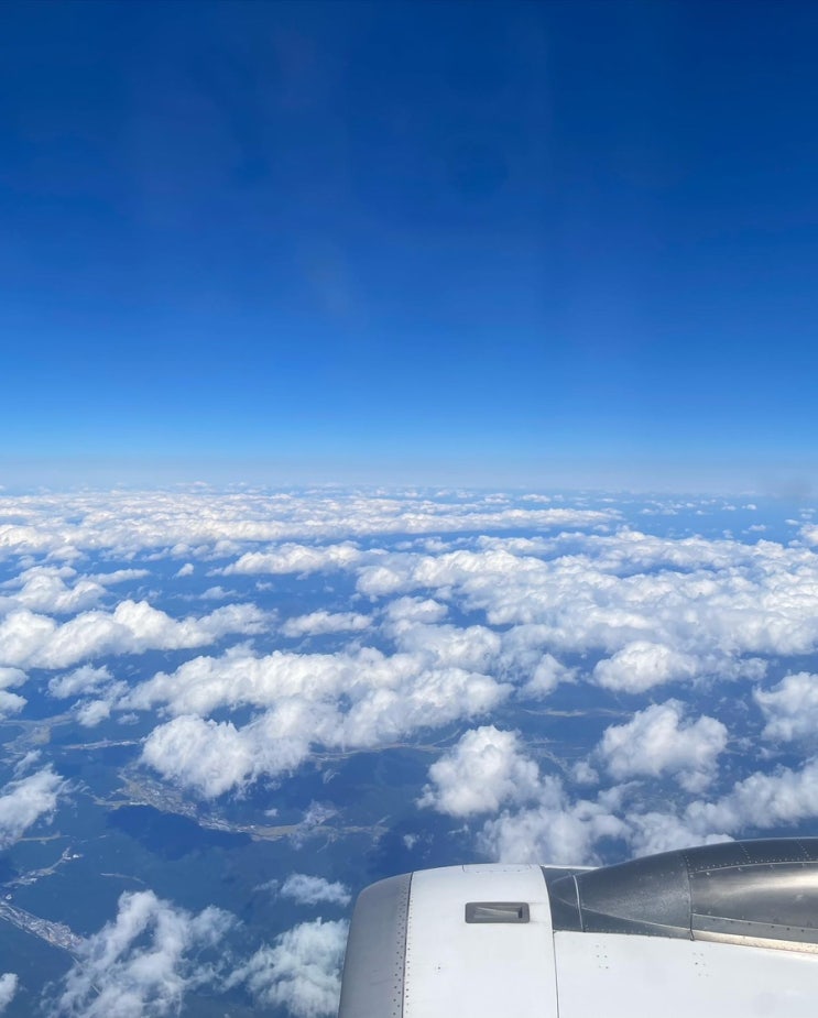 BIFF (10/9~10/10) : 네이버 블로그