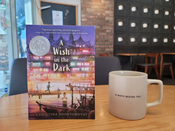 고등학생 뉴베리 영어원서 추천 A Wish in the Dark : 네이버 블로그