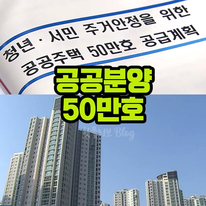 공공분양 주택 50만호 가구 공급대책 서민 청년주택 34만호 배정 미혼 특공 도입 계획 공공아파트 특별공급 청약제 추첨제 대상