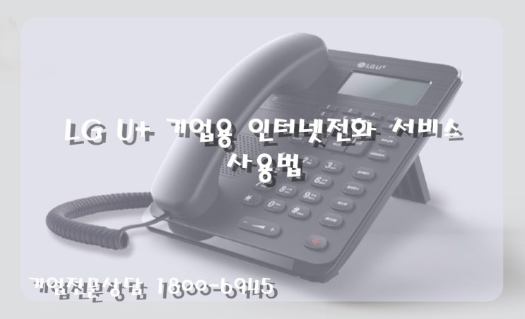 기업용 인터넷전화의 기능 및 사용법 : 네이버 블로그