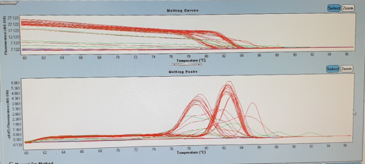 SYBR green을 이용한 qRT-PCR (qunatitative realtime-PCR) : 네이버 블로그