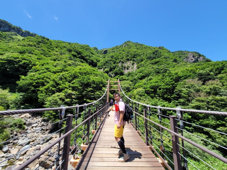 2022년 두번째 여름 한라산성판악 관음사 등산 코스 네이버 블로그