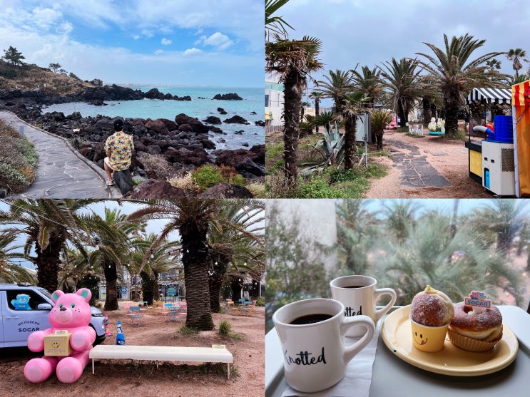 제주 카페거리 애월 한담해안산책로 한담해변 제주도 도넛 노티드도넛 네이버 블로그