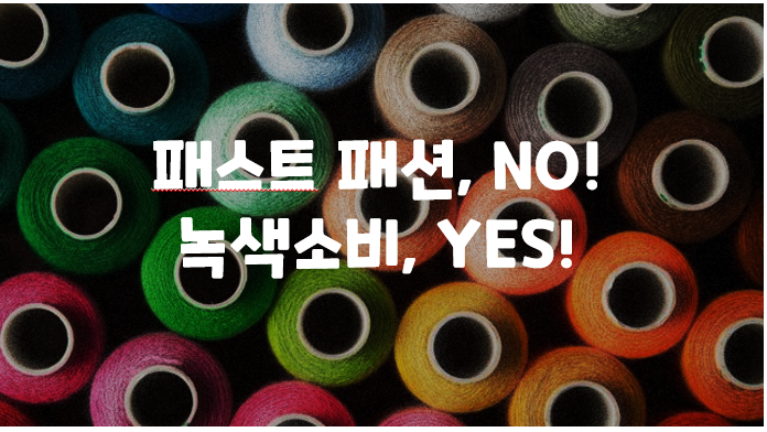 탄소중립기후행동 패스트패션no 녹색소비yes 그린리더스 9회차 Feat옷을 위한 지구는 없다 네이버 블로그