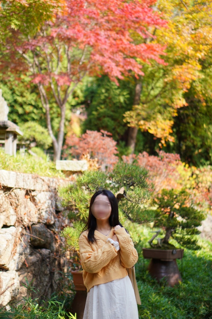 경기광주여행 화담숲 서울근교단풍 명소 경기도단풍 명소 가을여행화담숲 모노레일 주차 네이버 블로그