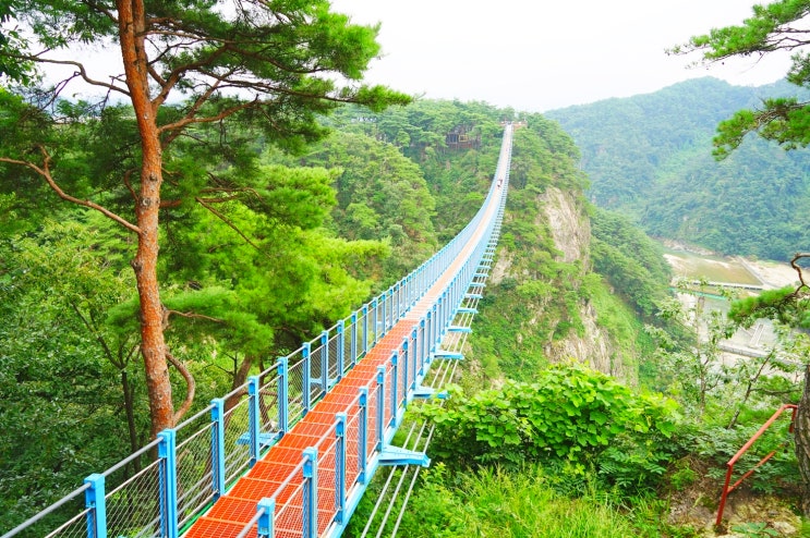 원주 소금산 출렁다리 간현 관광지 놀거리 강원도 여행지 추천 네이버 블로그