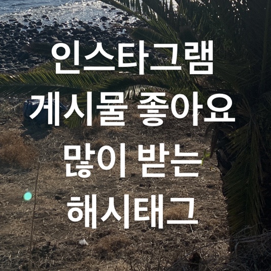 인스타그램 좋아요 많이 받는 해시태그 사용법 네이버 블로그