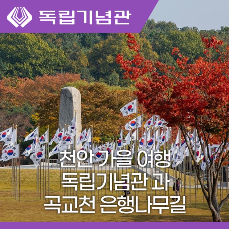 천안아산 가볼만한곳 독립기념관 곡교천 은행나무길 공세리성당 네이버 블로그