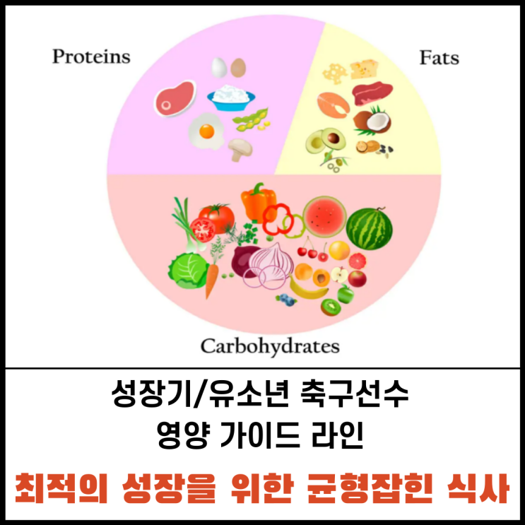 성장을 위한 균형잡힌 식사 가이드 식품 구성 자전거 채소단백질과일우유유제품주식 네이버 블로그