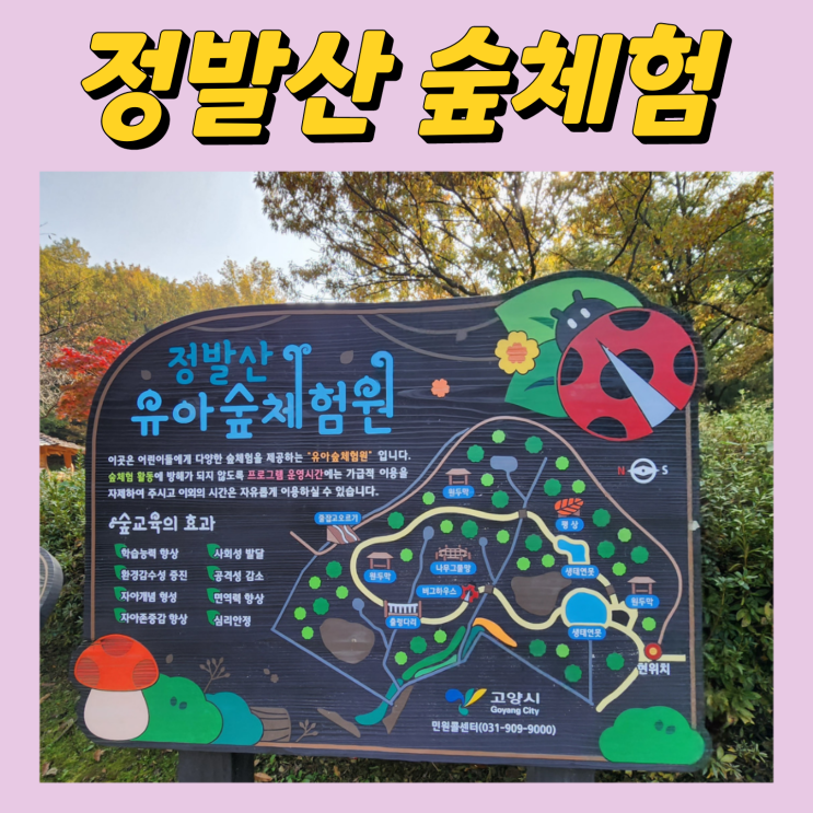 정발산 유아숲체험원 가을숲 나들이 고양 일산 아이와 가볼만한곳 네이버 블로그