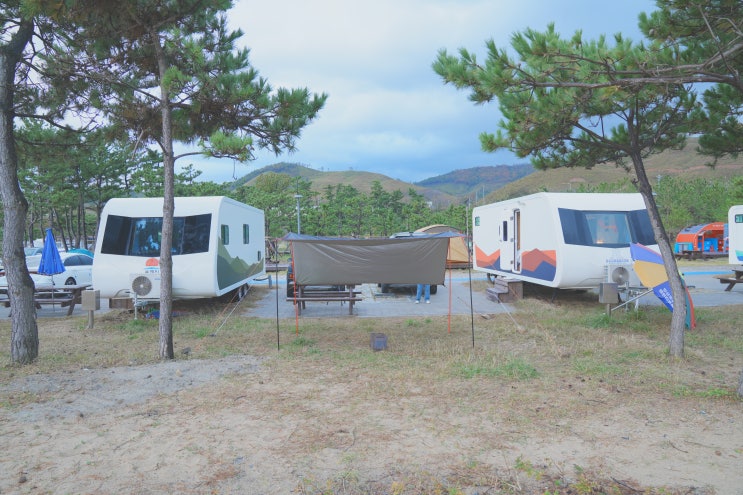 강원도 동해 망상오토캠핑리조트 카라반 1박2일 여행기 네이버 블로그
