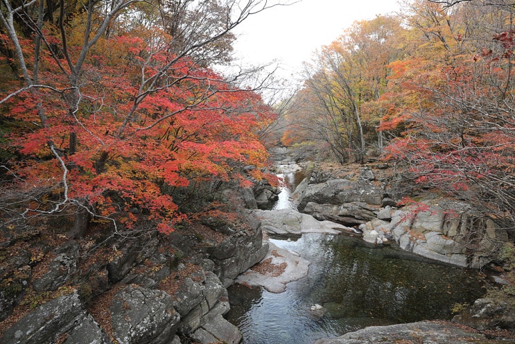지리산국립공원 노고단일출 뱀사골단풍 등산 난이도 중 2022 10 26 네이버 블로그