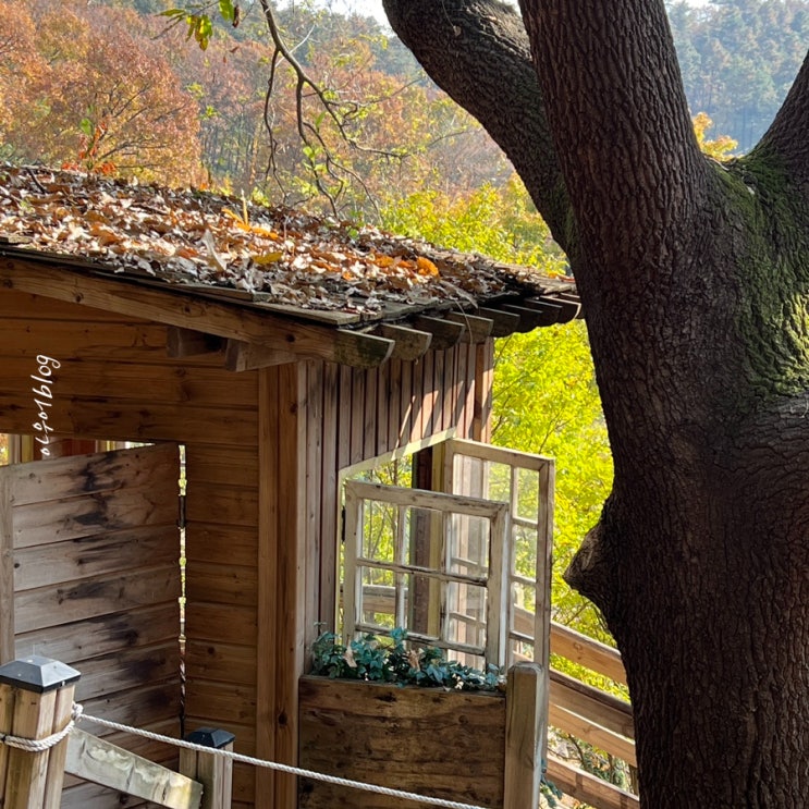 서울 근교 드라이브 가볼만한곳 파주 율곡수목원 네이버 블로그