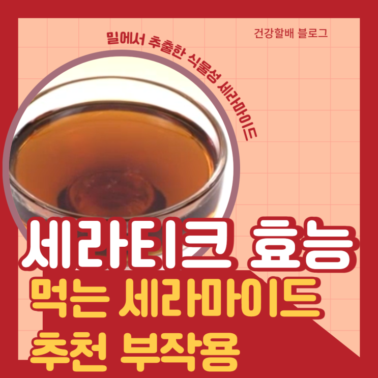 세라티크 세라마이드 효능 먹는 세라마이드 추천 부작용 네이버 블로그