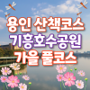 가을 용인 산책하기 좋은 곳 기흥호수공원 구신갈저수지 둘레길 풀코스후기 코스지도 반려견 놀이터 생태학습장 가마골