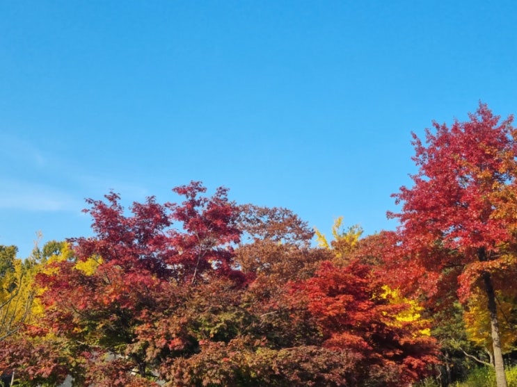 밤새 열이 나던 첫째, 코로나? / 경찰서에 가다 : 네이버 블로그