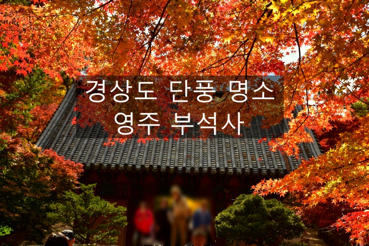 영주 가볼만한 곳단풍 명소 부석사 가을 여행지 추천 In 경상도 여행 네이버 블로그