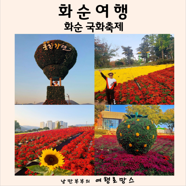 화순 국화축제 화순 남산공원 화순 가볼만한곳 국화향연 전남 11월 축제 꽃구경 드라이브코스 네이버 블로그