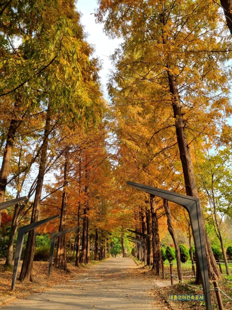 가톨릭성가 503. 생명의 양식 : 네이버 블로그