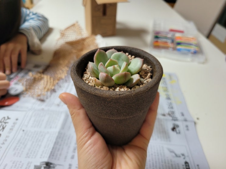 [커피박화분] 커피 찌꺼기가 화분으로 탄생되다. : 네이버 블로그