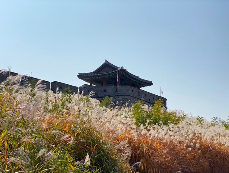 수원 단풍 코스 추천 장안공원 화서공원 팔달산 화성행궁 성곽길 주차장 네이버 블로그