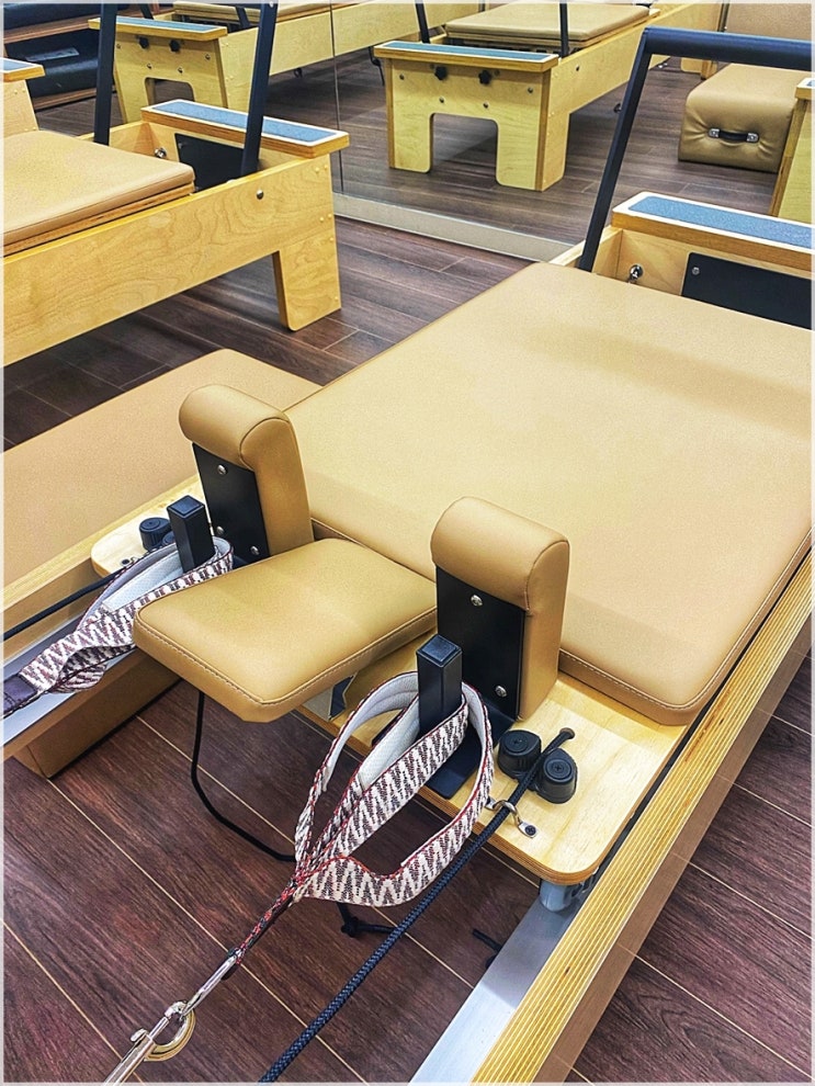 쌍용동 필라테스 조셉 후베르트 필라테스 달라지는 불당동필라테스 네이버 블로그