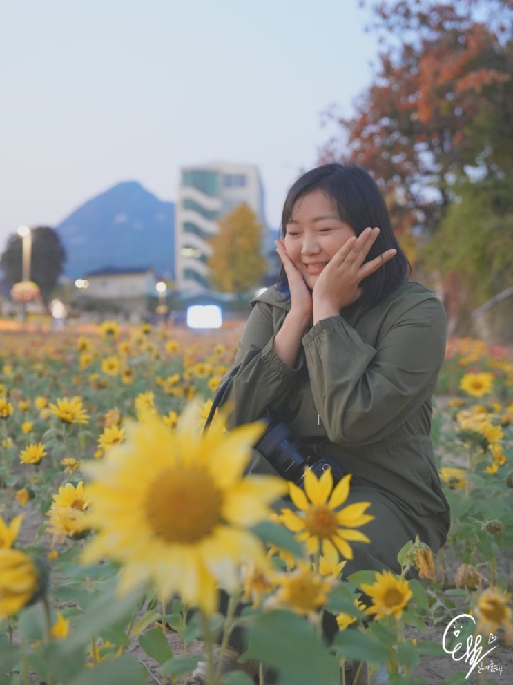 서울 가볼만한 곳 열린송현 녹지광장 새로운 안국역놀거리 데이트코스 네이버 블로그