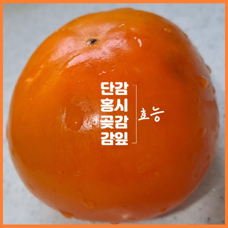 감 효능단감 홍시 곶감 종류에 따른 효능과 감잎 영양 네이버 블로그