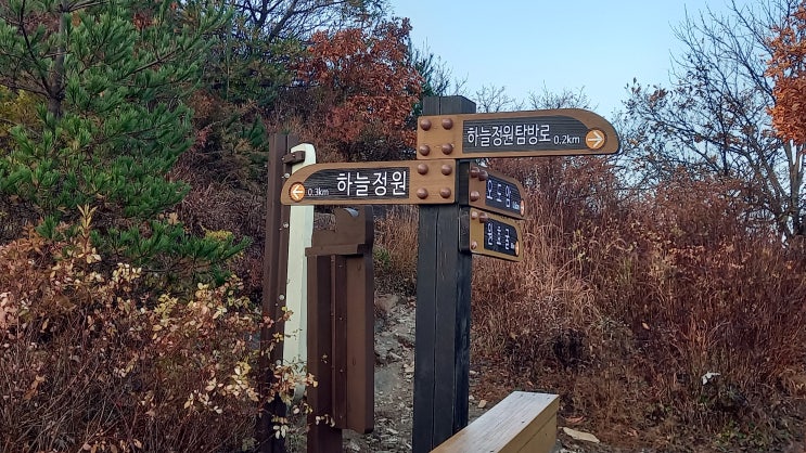 경북권 2박3일 산행③ 대구 팔공산 비로봉 최단거리 인증팔공산 하늘정원 코스갓바위 입구근처 팔공산짜라호텔 네이버 블로그