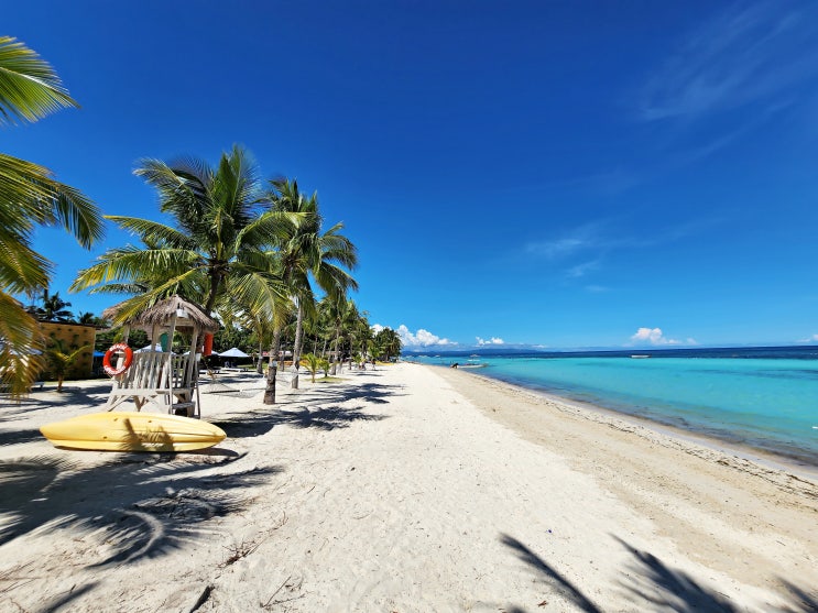 아름다운 해변으로 사랑받는 보홀비치클럽 리조트(BOHOL BEACH CLUB RESORT)- BBC 미리 보기 1부 BBC 해변 ...