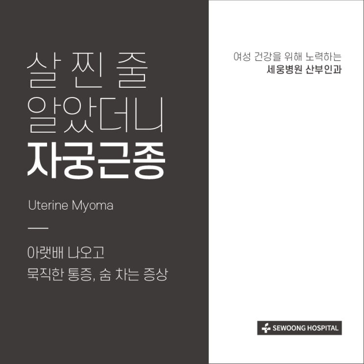 금정구 세웅병원 산부인과 살 찐 줄 알았더니 자궁근종 네이버 블로그