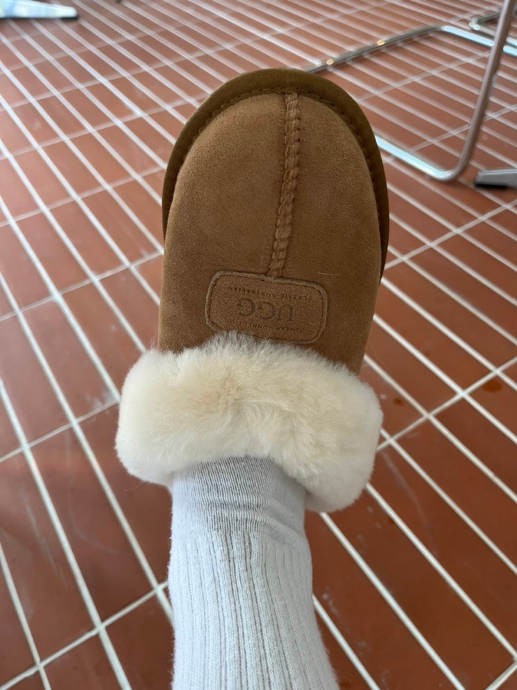 Ugg 어그 코케트 슬리퍼 체스트넛 직구후기 착샷 호주 사이즈팁 관리꿀팁 여자 겨울슬리퍼 추천 네이버 블로그