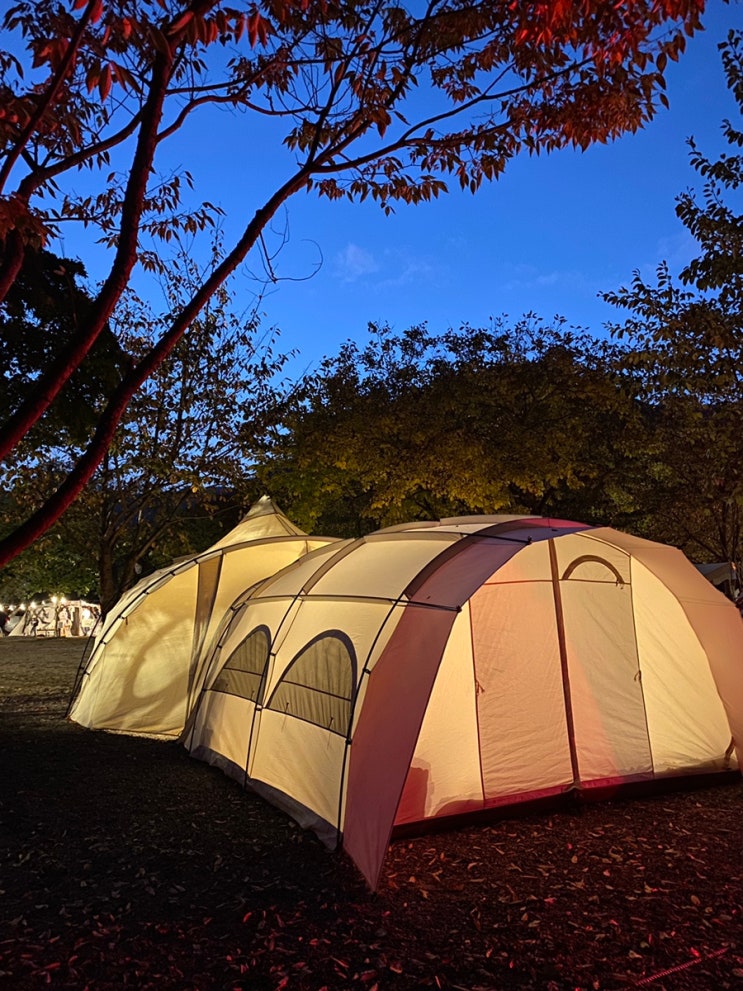 장박 Start 올해는 캠핑칸 조합으로 시작합니다 가을장박 겨울장박 네이버 블로그
