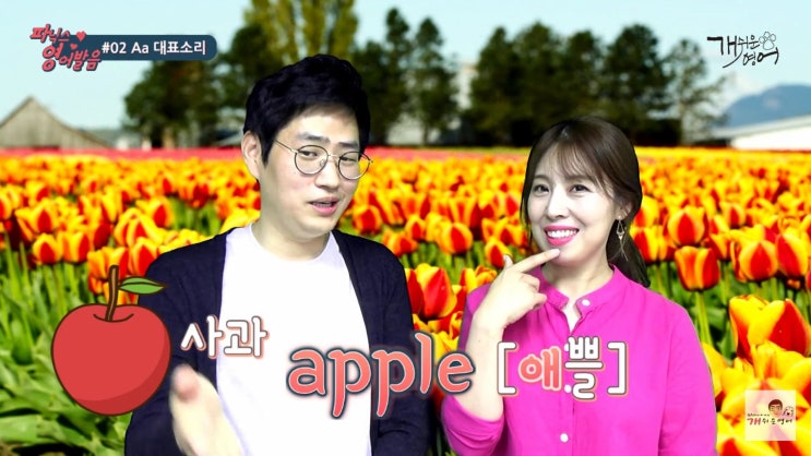 초3영어 파닉스 영어발음 공부 왜 왕초보영어 공부에 중요할까요 네이버 블로그