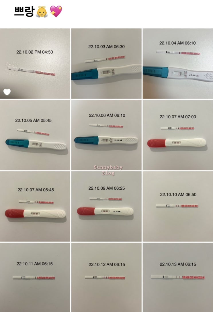 임신 임신극초기증상 1주차 3주차 증상 배 콕콕 어지러움 피로감 네이버 블로그