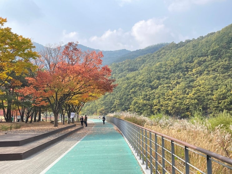 국내여행대구여행 대구 가볼만한 곳 달서구에 위치한 산책하기 좋은 곳 대구월광수변공원 🍂 네이버 블로그