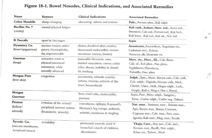 Bowel nosodes 는 여러 균목 ( Order ) 에 걸쳐있다. : 네이버 블로그