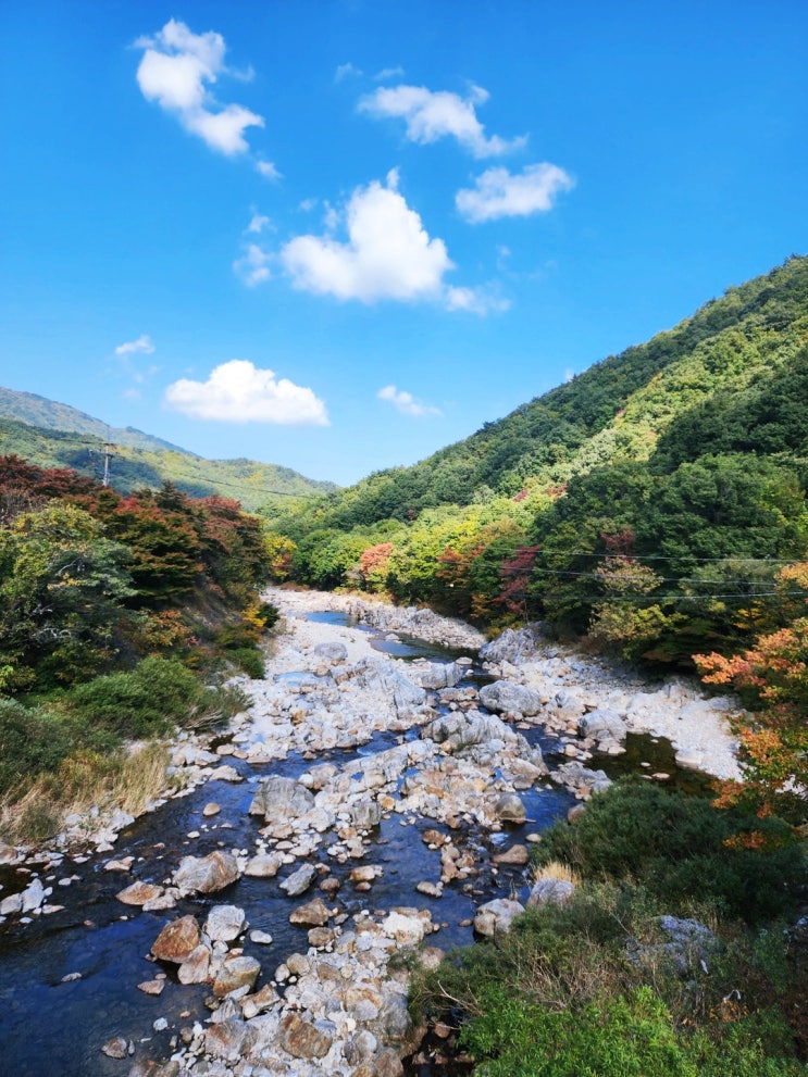 [지리산 1박 2일] 다들 극찬하는 이유 👏👏👏 ( 뱀사골 와운마을, 천년송, 부부송, 단풍, 노고단, 화엄사) : 네이버 블로그