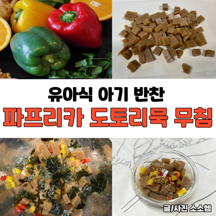 두돌 아기 유아식 반찬 파프리카 도토리묵 무침 편식하는 아이 네이버 블로그