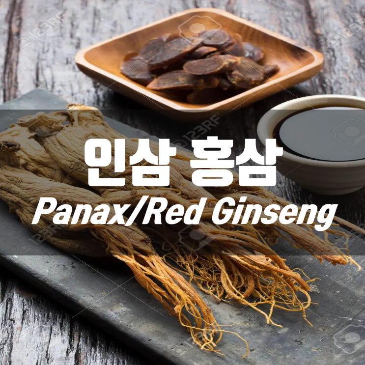 인삼 홍삼 Panaxred Ginseng 7가지 효능 부작용 추천제품 홍삼제품의 불편한 진실 네이버 블로그