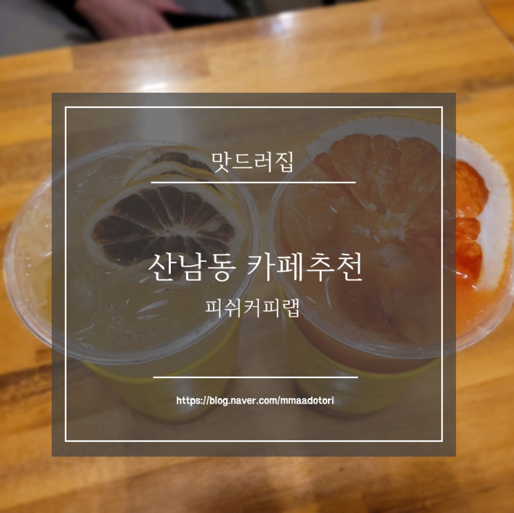 청주 산남동 핸드드립커피가 맛있는 분위기좋은 작은 카페 추천 피쉬커피랩 네이버 블로그