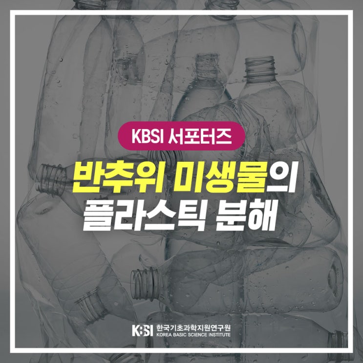 반추위 미생물의 플라스틱 분해 : 네이버 블로그
