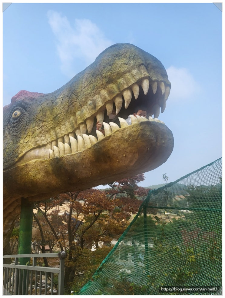 안면도 쥬라기박물관 미디어관 천문관 종합 패키지 이용 후기 네이버 블로그