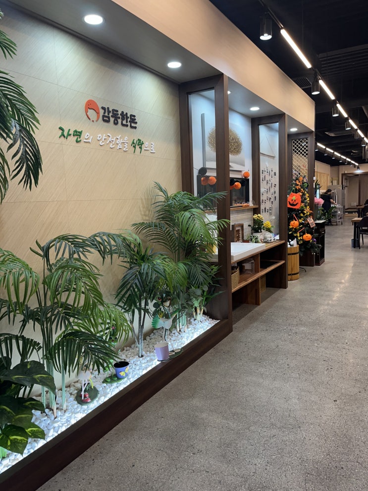감동한돈 양주 옥정신도시 한돈 고기집 왕 갈비탕 설렁탕 정육식당 한우 육회 육회 비빔밥 옥정 밥집 단체 가족 외식