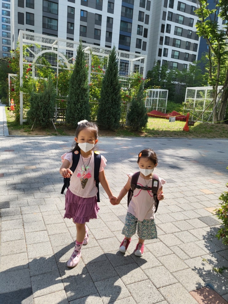 처음학교로 우선모집 자격 다자녀 조건 필요서류 병설단설사립유치원 어린이집 장단점 비교 네이버 블로그