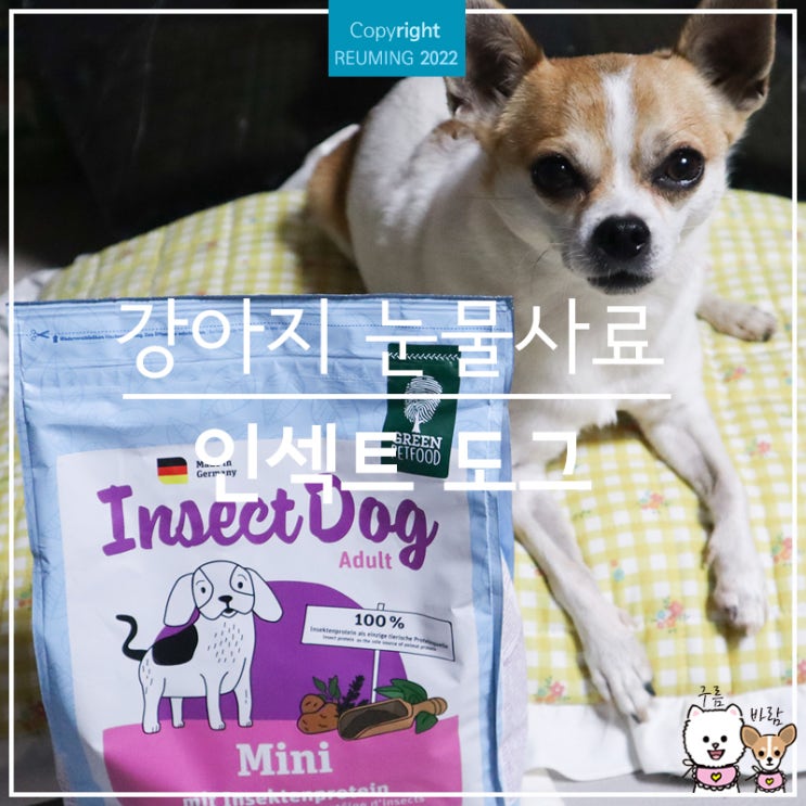 곤충사료 식감까지 즐거운 강아지 눈물사료에요 네이버 블로그