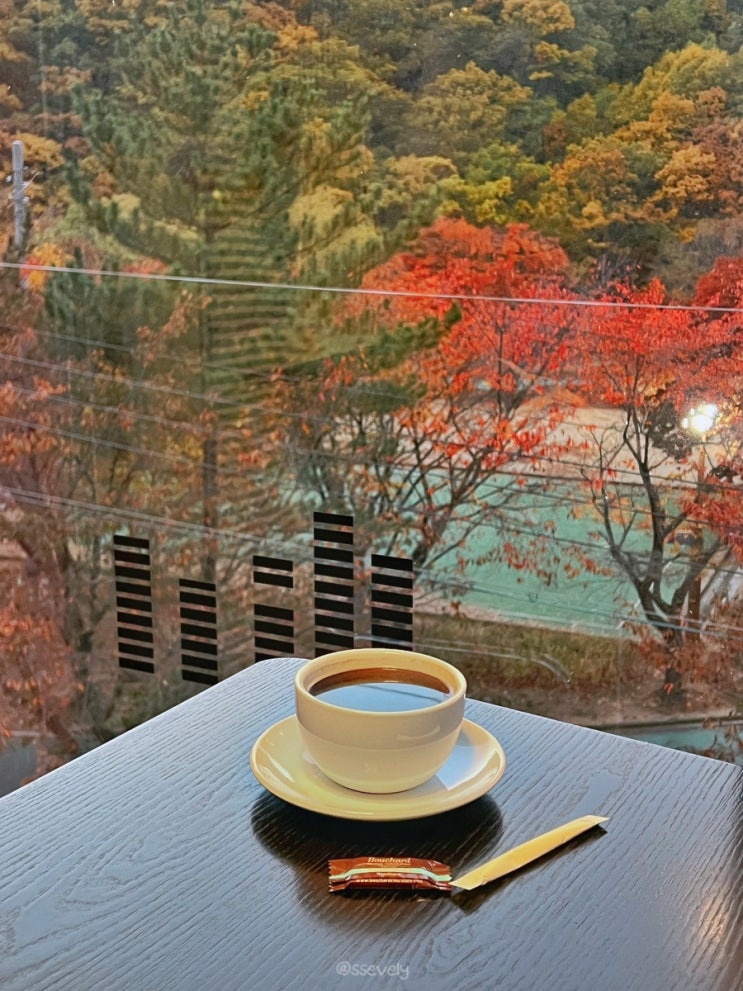 대구 도원동 월광수변공원 단풍뷰 카페 트릴커피 월광수변공원실시간 단풍 네이버 블로그